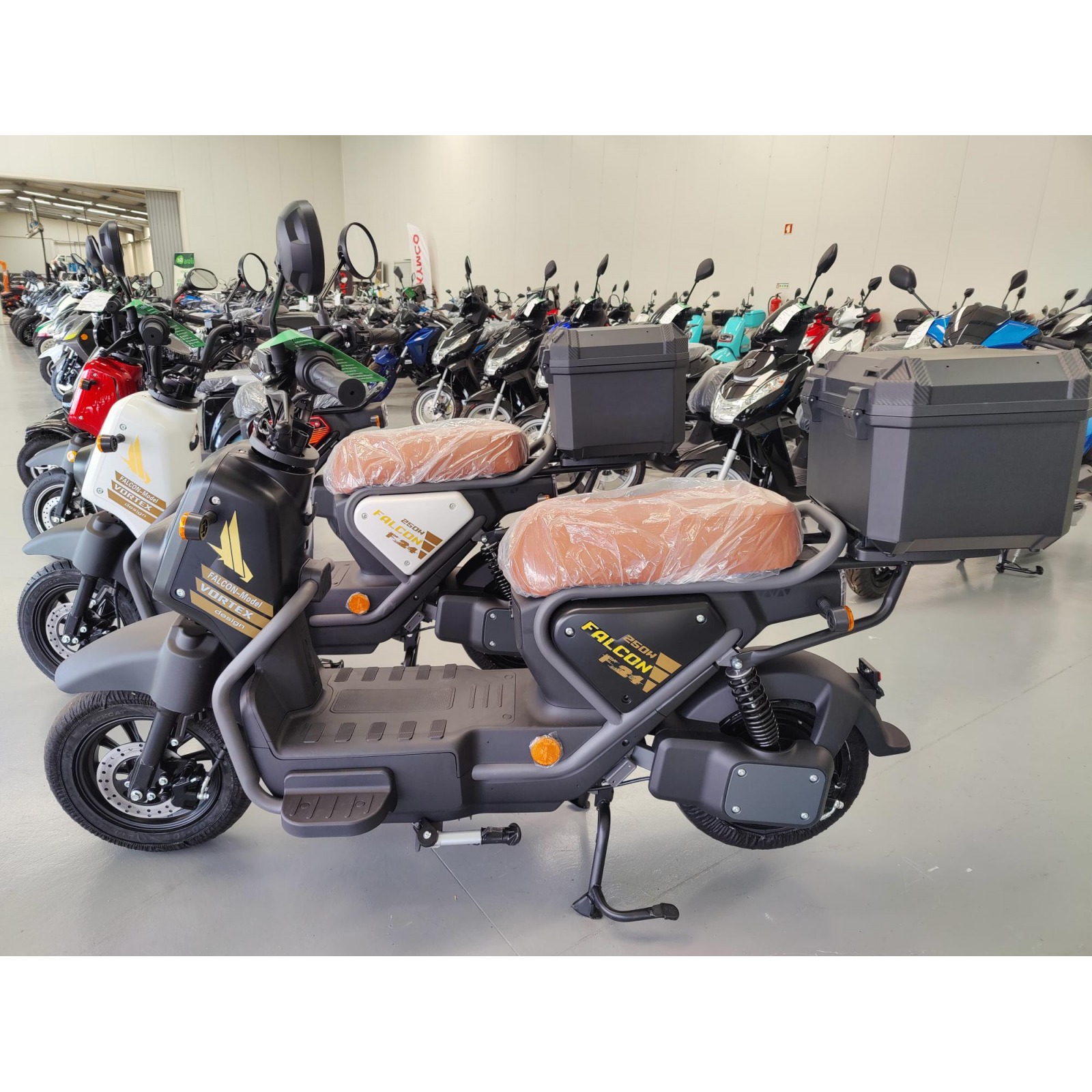 BICICLETA ELETRICA GOOSE FALCON 72V