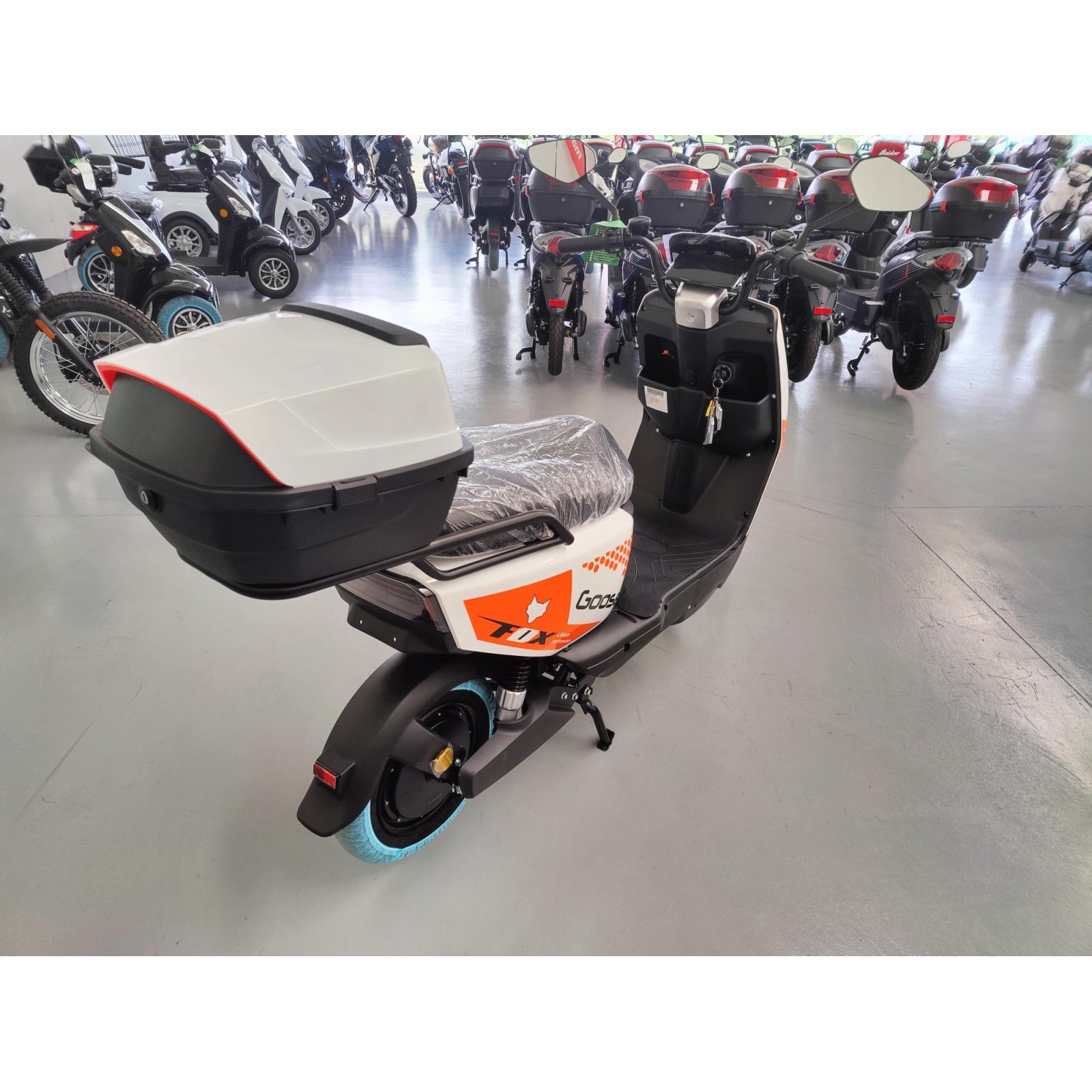 BICICLETA ELETRICA GOOSE FOX LITIO (WHITE EDITION)